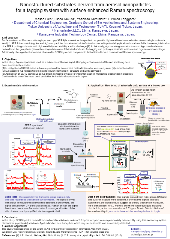 Nanostructured Substrates for Surface-Enhanced Raman Spectroscopy ...